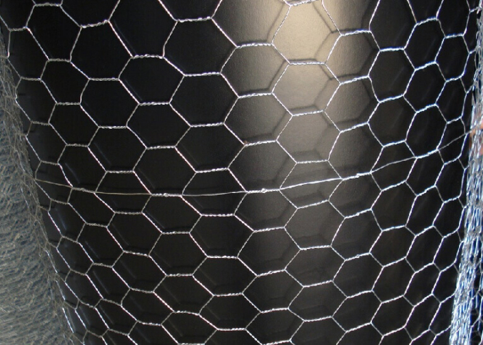 galvanized hexagonal wire mesh | electro chicken mesh | poultry netting